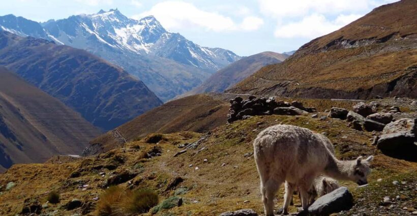 Machu Picchu 2 Days / 1 Night (By Bus) - The Sum Up: Is It Worth It?
