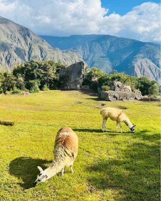 Machu Picchu: Entrance Ticket and Bus Transfer from Aguas Ca - Exploring Machu Picchu: Entrance Ticket and Bus Transfer from Aguas Calientes