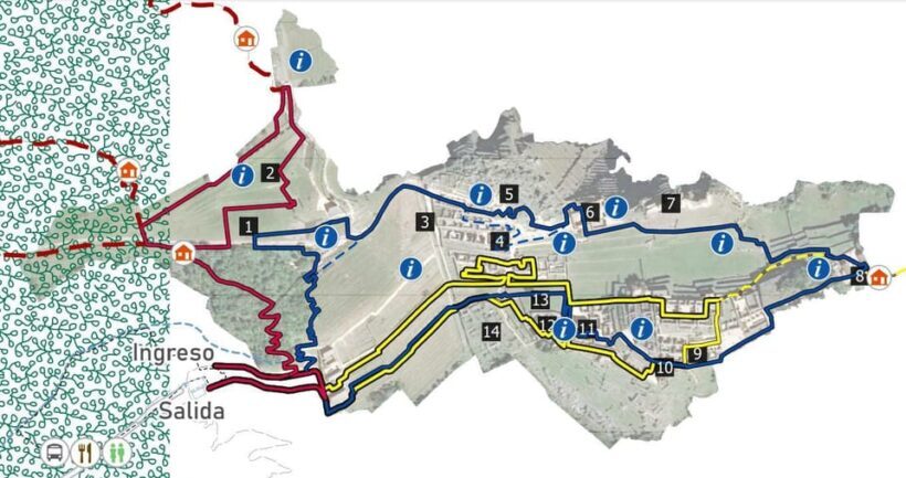 Machu Picchu: Entrance Ticket and Bus Transfer from Aguas Ca - Transport and Timing: Why They Matter