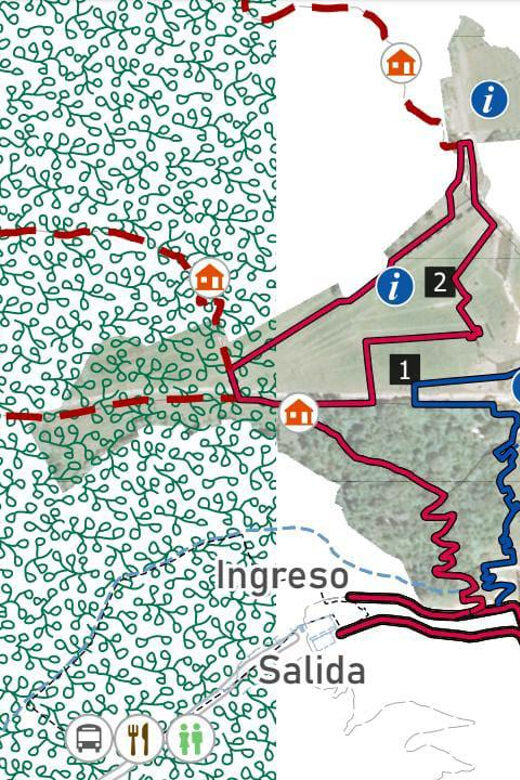 Machu Picchu Entry Ticket and Bus from Aguas Calientes - A Practical Look at the Experience