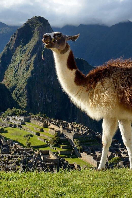 Machu Picchu One Day Trip from Cusco - Key Points