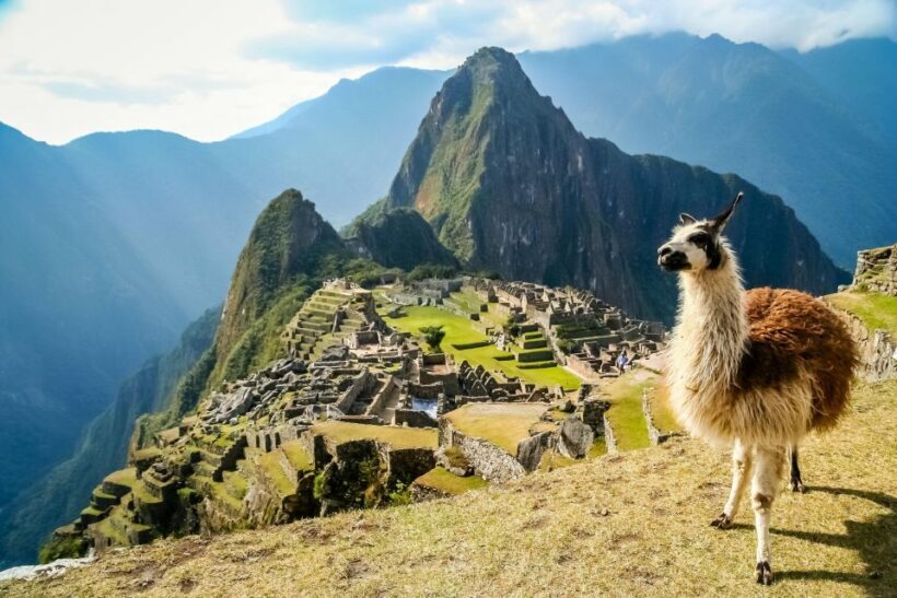 Machu Picchu Private: Exclusive Adventure from Cusco + Lunch - A Seamless Transfer to Machu Picchu