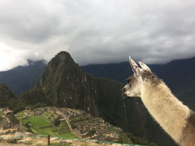 Machu Picchu: Private Tour Guide Service - Key Points