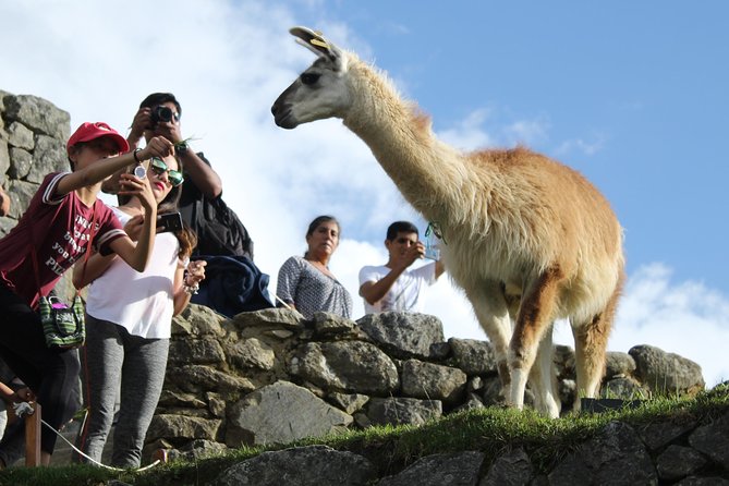 Machu Picchu Tour From Cusco Full Day - Small Group Size and Personalized Attention