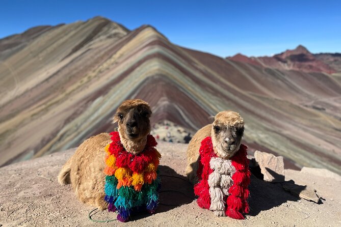 Machupicchu Exclusive Experience - Insider Perspectives From a Private Guide