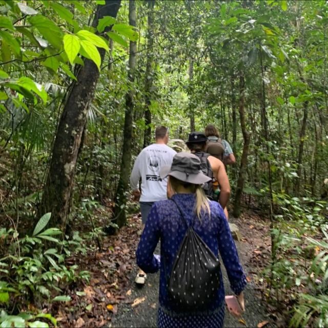 Mackay: Finch Hatton Gorge Hike, Swim & Platypus Adventure - Key Points