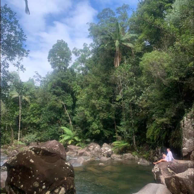 Mackay: Finch Hatton Gorge Hike, Swim & Platypus Adventure - Exploring the Finch Hatton Gorge Hike