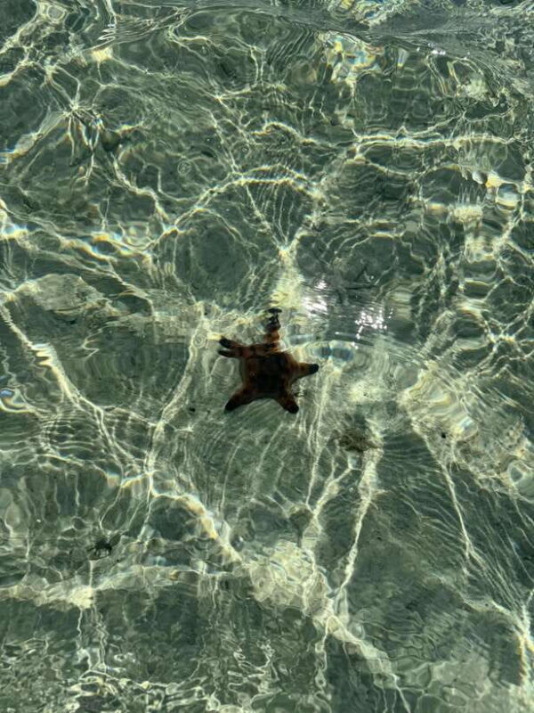 Mactan Island Hopping Gilutungan, Caohagan, Nalusuan + Lunch - FAQs