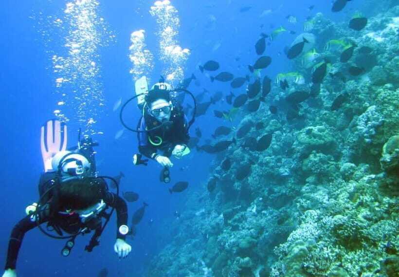 Mactan: PADI Open Water Diver Certification Course - Key Points