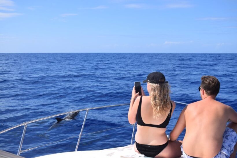 Madeira: 2.5-Hour Whale and Dolphin-Watching Cruise - Practicalities and Tips