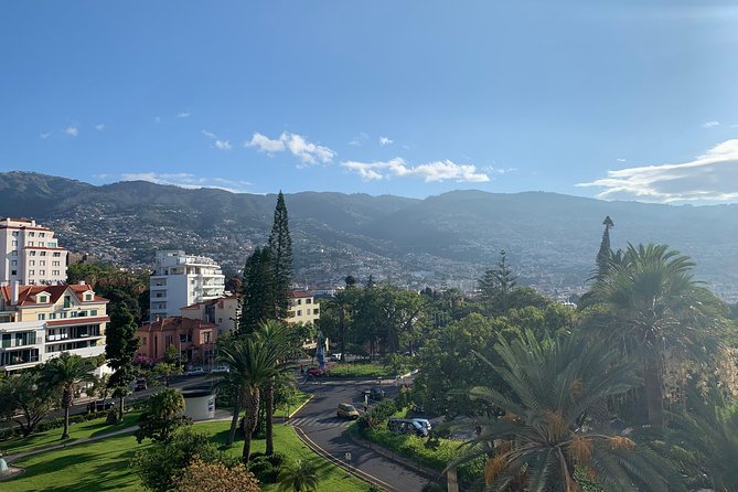 Madeira Airport Round Trip Shuttle Transfers Service - The Sum Up