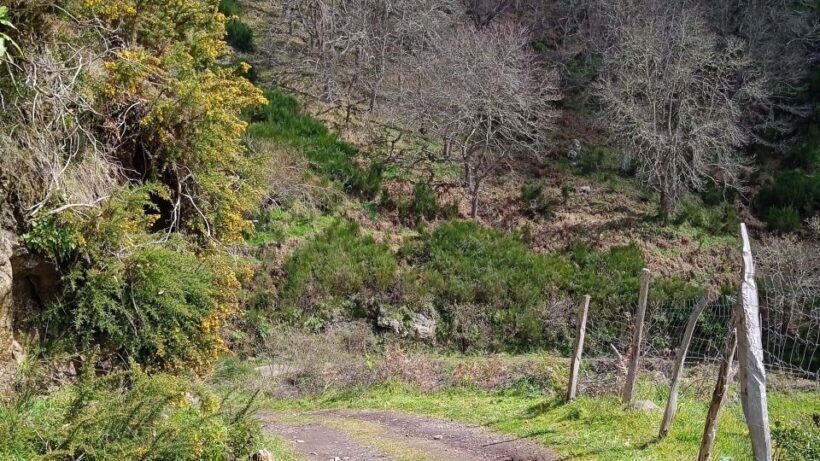 Madeira all day jeep nature tours. - An In-Depth Look at the Madeira Jeep Nature Tour