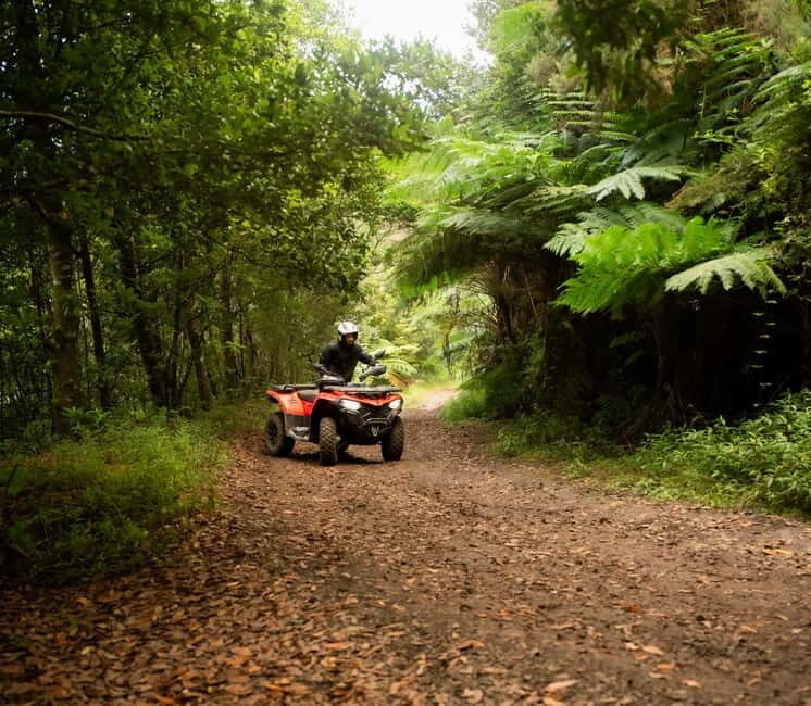 Madeira: Aventura Off-Road de ATV ou Quad - Adrenalina - Exploring Madeira on Quad: An Authentic, Action-Packed Experience