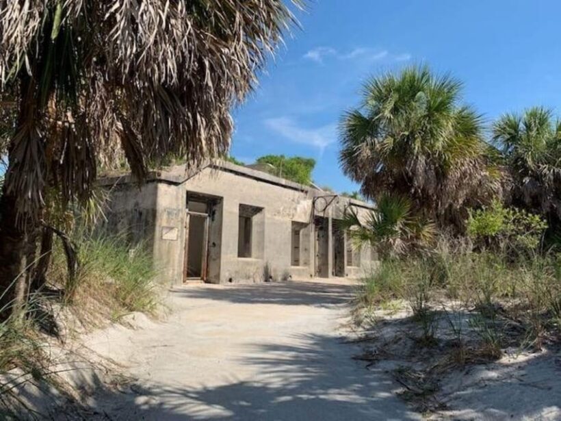 Madeira Beach: Egmont Key Snorkeling and Dolphin Cruise - Wildlife Encounters: Dolphins, Manatees, and Turtles