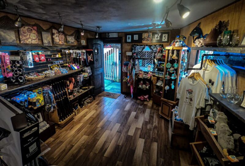 Madeira Beach: Pirate Adventure Cruise - Key Points