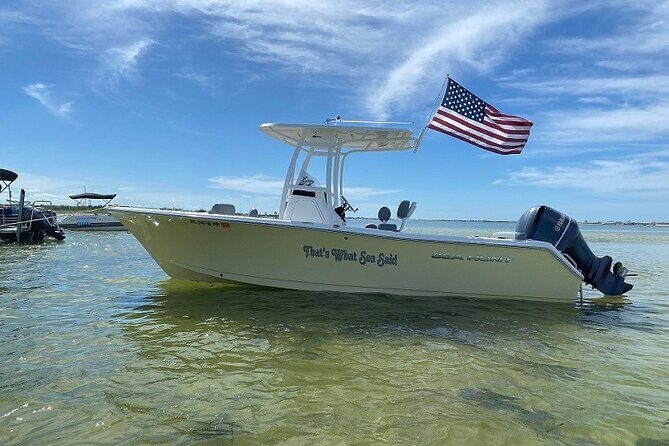 Madeira Beach - Shell Key - Dolphins - Half Day Private Boat Tour - Introduction