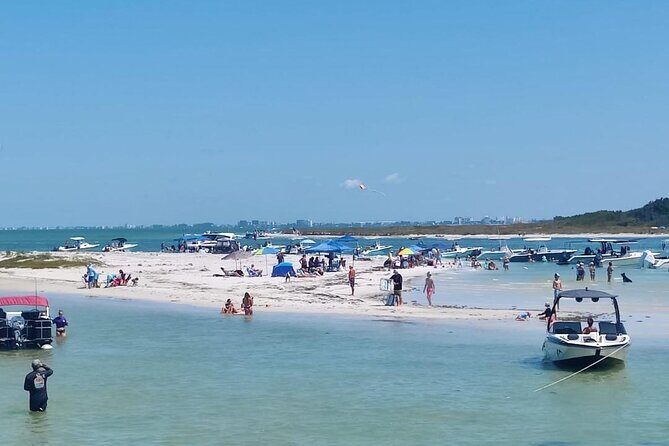 Madeira Beach - Shell Key - Dolphins - Half Day Private Boat Tour - Key Points
