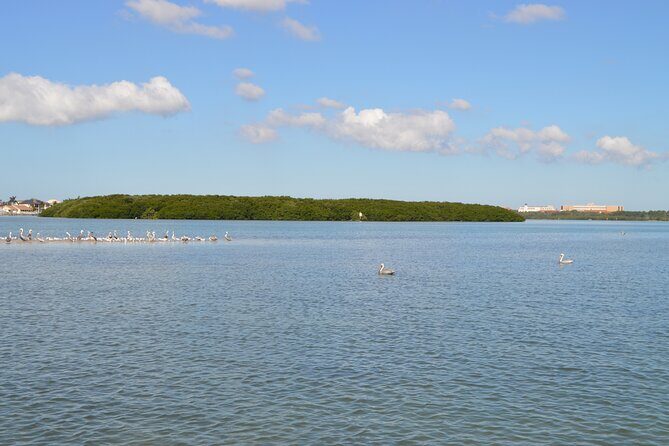 Madeira Beach - Shell Key - Dolphins - Half Day Private Boat Tour - Why This Tour Offers Good Value