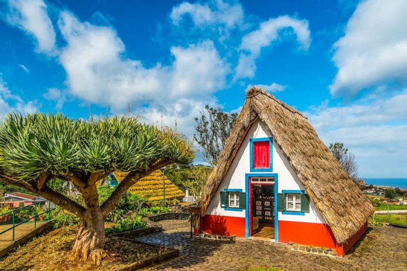 Madeira: Best of the East Tour from Funchal - Transportation and Guide Quality
