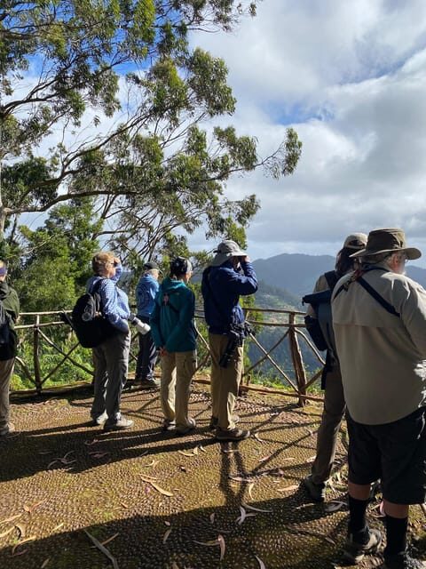 Madeira: Birdwatching - The Endemics - Who Should Book This Tour?
