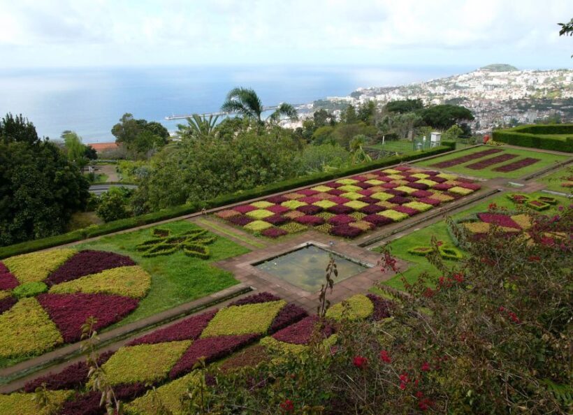 Madeira: Botanical Garden in a Tuk-Tuk Tour - Key Points