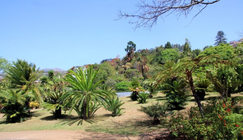 Madeira: Botanical Garden in a Tuk-Tuk Tour - Final Thoughts