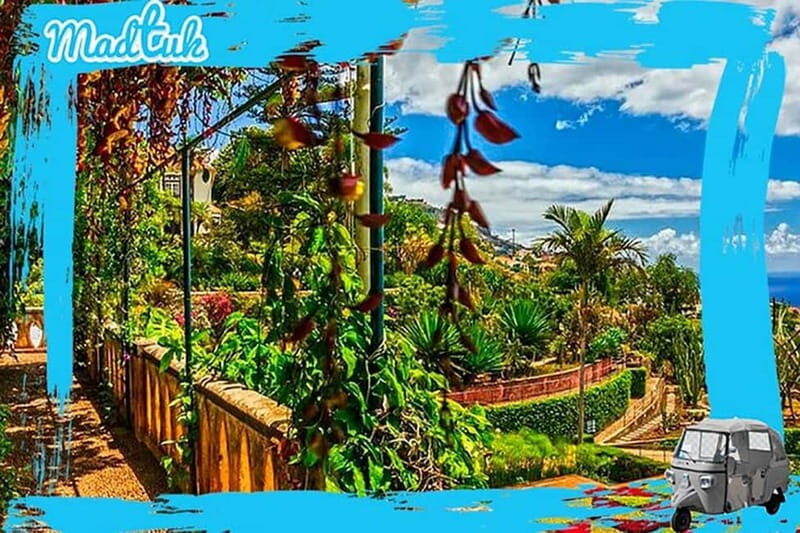 Madeira: Botanical Gardens + Old Town Tuk-Tuk Tour by MadTuk - Madeira: Botanical Gardens + Old Town Tuk-Tuk Tour by MadTuk