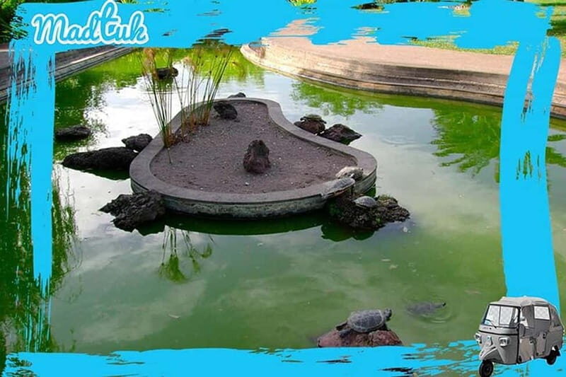 Madeira: Botanical Gardens + Old Town Tuk-Tuk Tour by MadTuk - What Makes the Experience Stand Out?