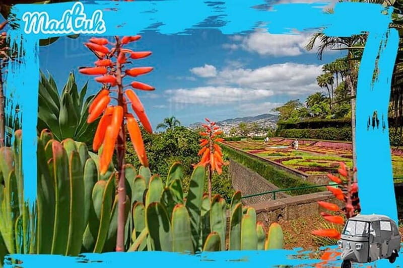 Madeira: Botanical Gardens + Old Town Tuk-Tuk Tour by MadTuk - Authenticity and Real Traveler Feedback