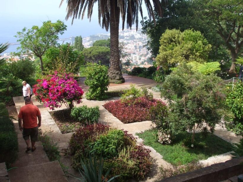 Madeira: Botanical, Monte Palace, and Palheiro Gardens - The Madeira Botanical Garden: A Paradise for Plant Lovers