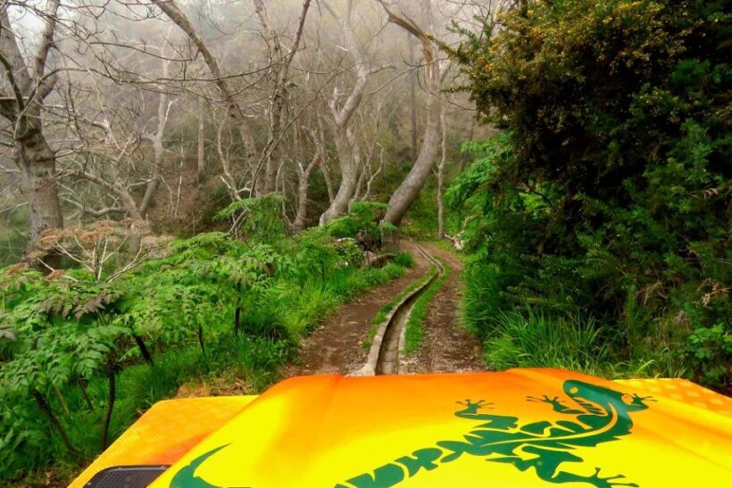 Madeira : Cabo Girao and Camara de Lobo 4WD half-day Tour - FAQ