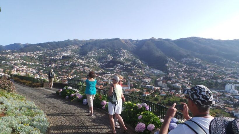 Madeira: Cabo Girao, Jeep Tour Adventure and Wine Tasting - Who Will Love This Tour?