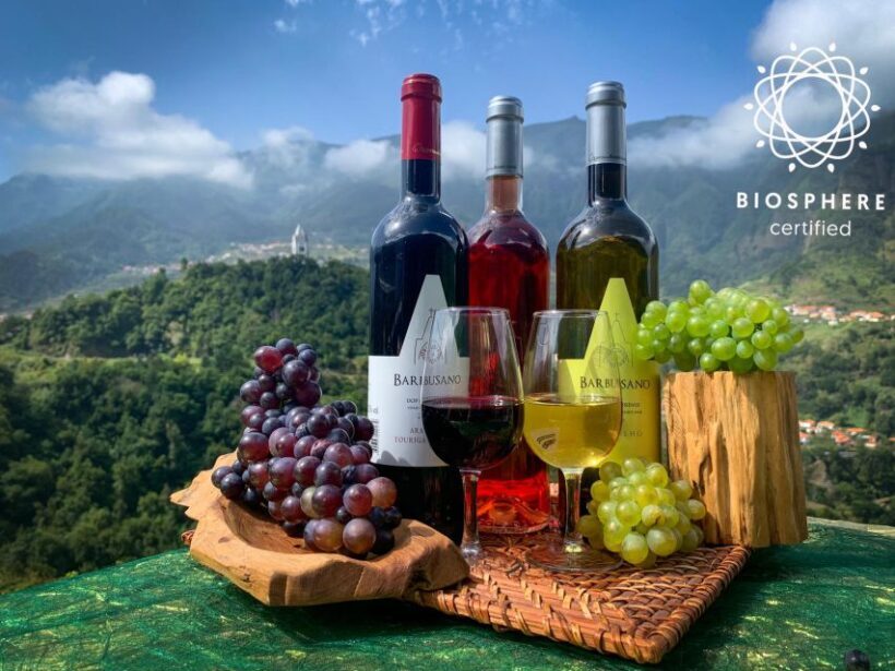 Madeira: Cabo Girão, Wine Tasting, & Serra d'Água Jeep Tour - An In-Depth Look at the Experience