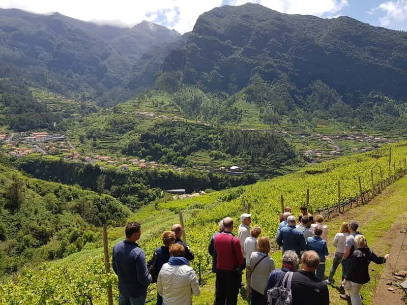 Madeira: Cabo Girão, Wines Experience and Dolphins Watching - Breakdown of the Itinerary