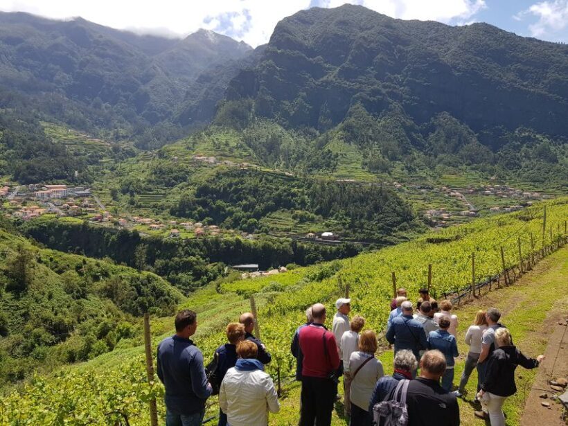 Madeira: Cabo Girão, Wines Experience and Dolphins Watching - Summary