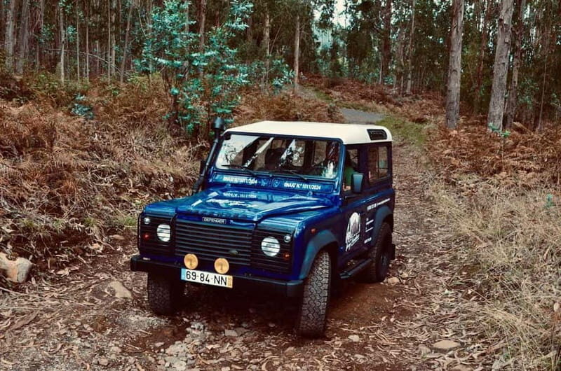 Madeira: Câmara de Lobos and Cabo Girão:Unforgettable adventure 4*4:duration3,5h - An In-Depth Look at the 4×4 Madeira Tour