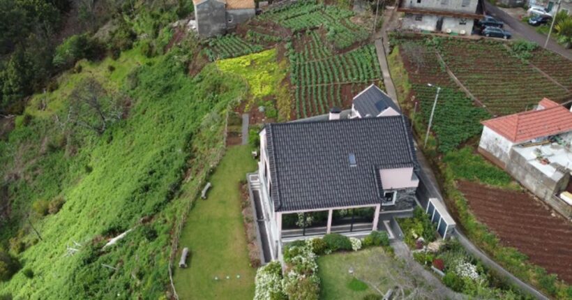 Madeira Cheese Tasting & Tea Tour - Who Should Consider This Tour?