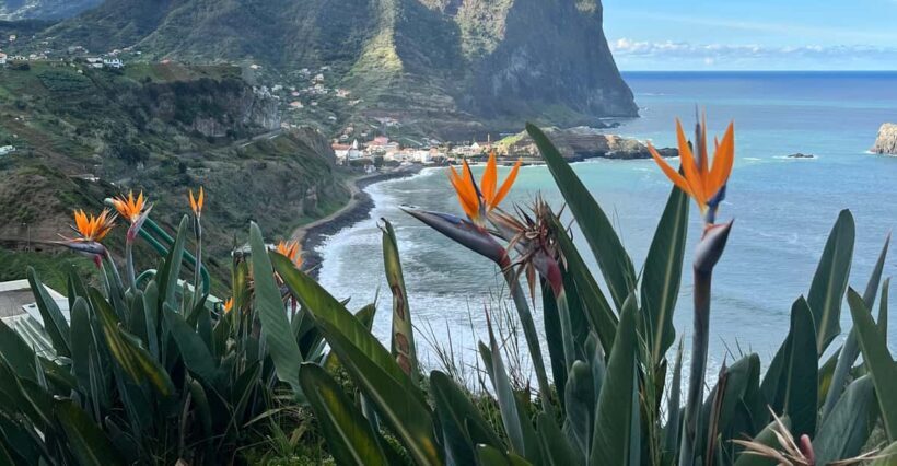 Madeira: Cliff Hanger Vereda Larano Hike Machico - Key Points