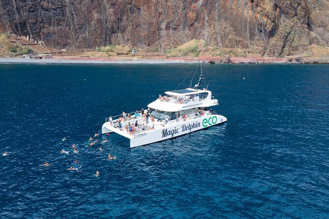 Madeira Dolphin and Whale Watching on a Ecological Catamaran - Introduction