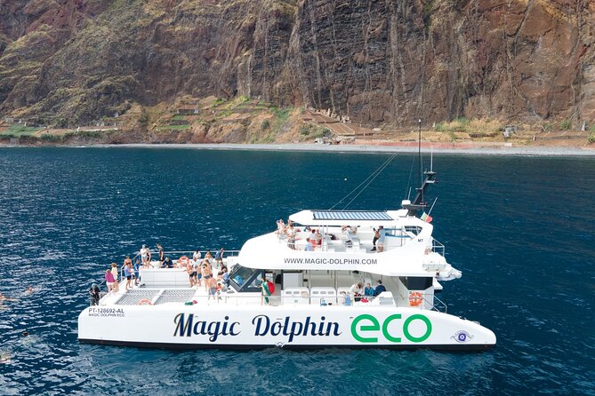 Madeira Dolphin and Whale Watching on a Ecological Catamaran - What Makes This Tour Stand Out