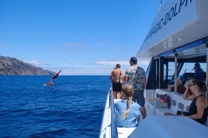 Madeira Dolphin and Whale Watching on a Ecological Catamaran - The Reviews Say It All