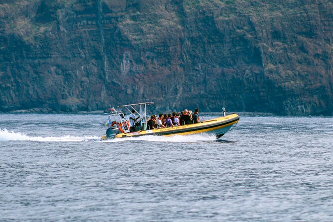 Madeira Dolphin & Whale Watching Tour - Cancellation Policy and Practical Considerations