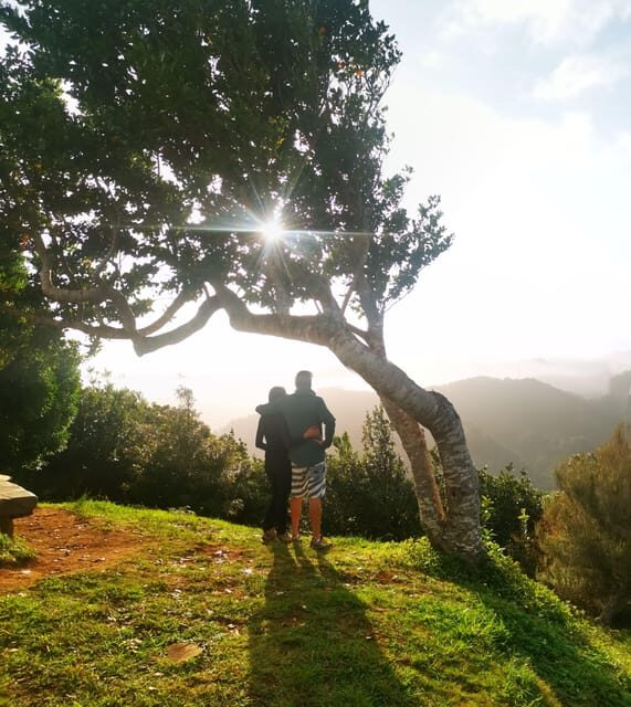 Madeira E-Buggy Adventure: 4x4 thrill & epic views! Book now - Key Points
