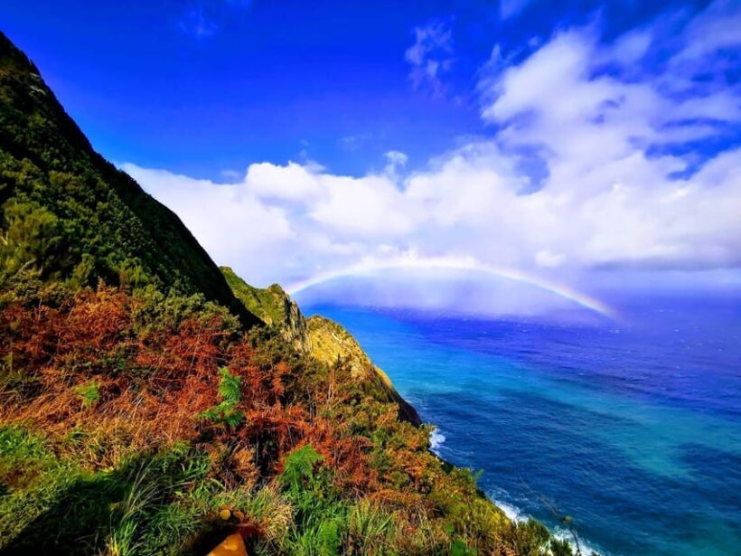 Madeira E-Buggy Adventure: 4x4 thrill & epic views! Book now - An In-Depth Look at the Madeira E-Buggy Adventure