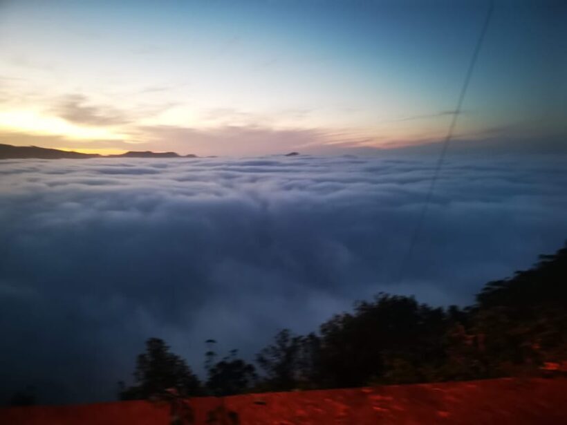 Madeira E-Buggy Adventure: 4x4 thrill & epic views! Book now - Who Should Consider This Tour?