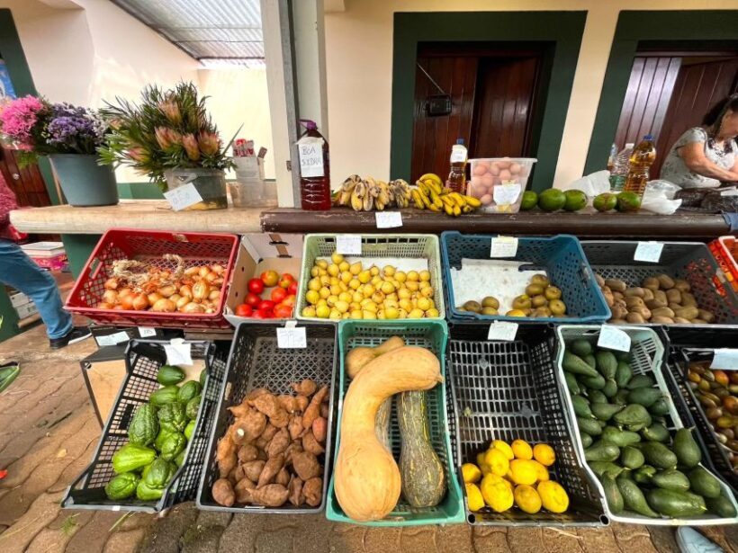 Madeira: East Coast, Sao Lourenço & Local farmers' market - Who Should Book This Tour?