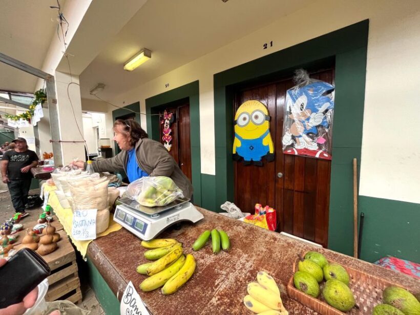 Madeira: East Coast, Sao Lourenço & Local farmers' market - The Sum Up