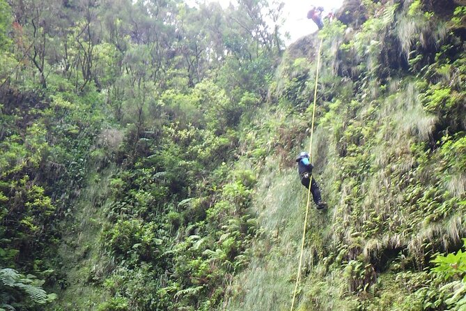 Madeira East Island Special & Levada Walking Tour with Meal and Drinks - Who Should Book This Tour?