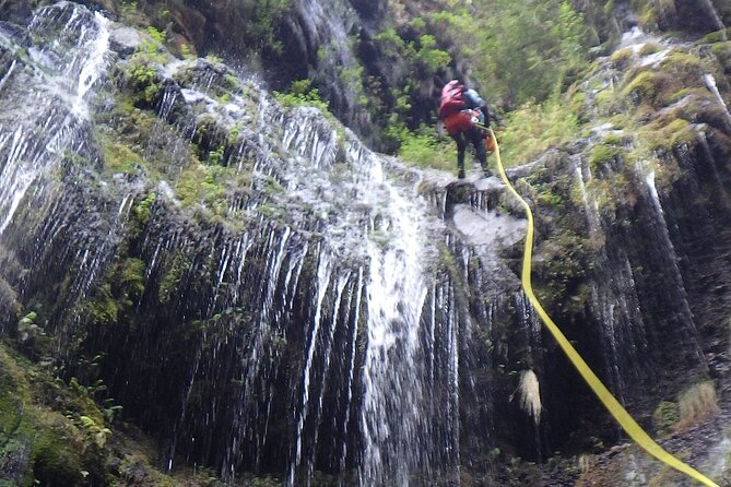 Madeira East Island Special & Levada Walking Tour with Meal and Drinks - Frequently Asked Questions