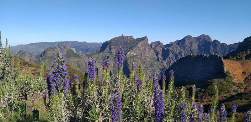 Madeira East Island Tour and Levada Walk - An In-Depth Look at the Itinerary